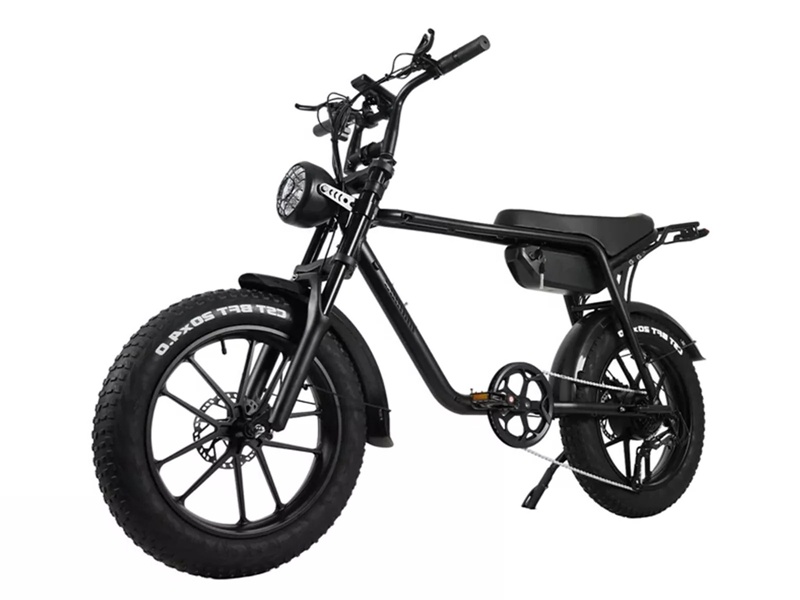 Mamba Sahara Fat Tyre E Bike | Sutherland Shire